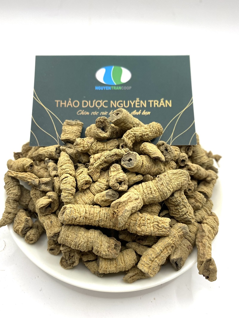 Giá bán và địa chỉ mua ba kích tím tại TPHCM và Hà Nội