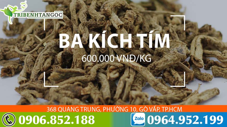 Ba Kích Tím - Trị bệnh tận gốc