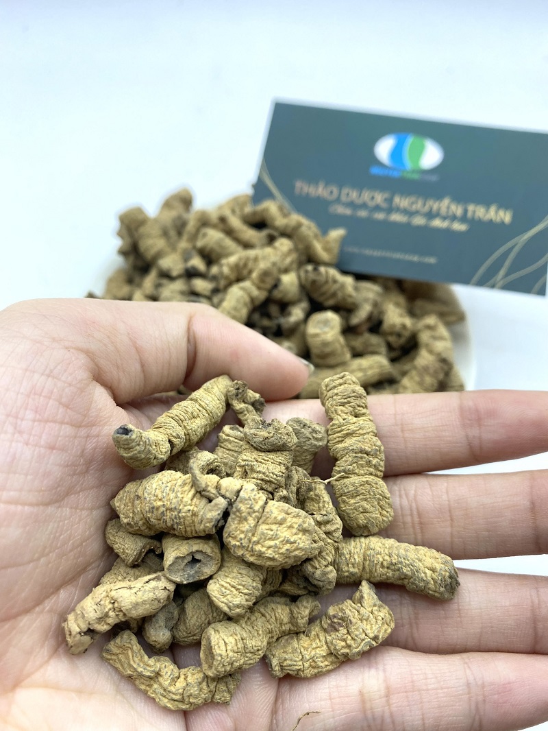 Giá bán và địa chỉ mua ba kích tím tại TPHCM và Hà Nội